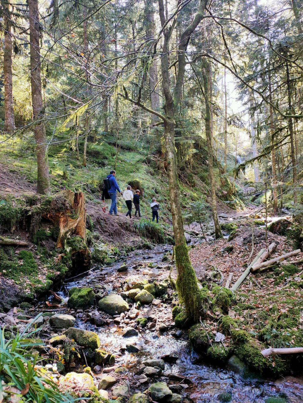 Que faire comme activités dans le Massif des Vosges en famille ? Graines De Baroudeurs